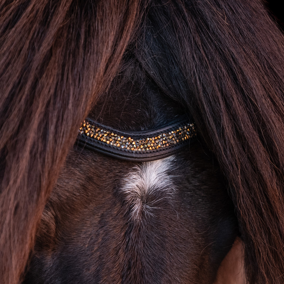 Basic Browband - Gold – CrownHorse