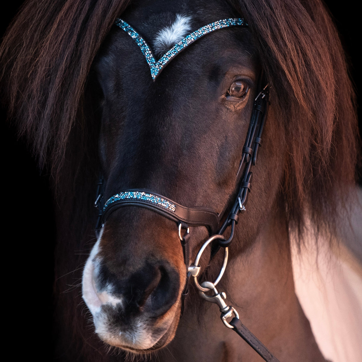 Anatomische Trense V-Stirnriemen - Türkis/Grau – CrownHorse